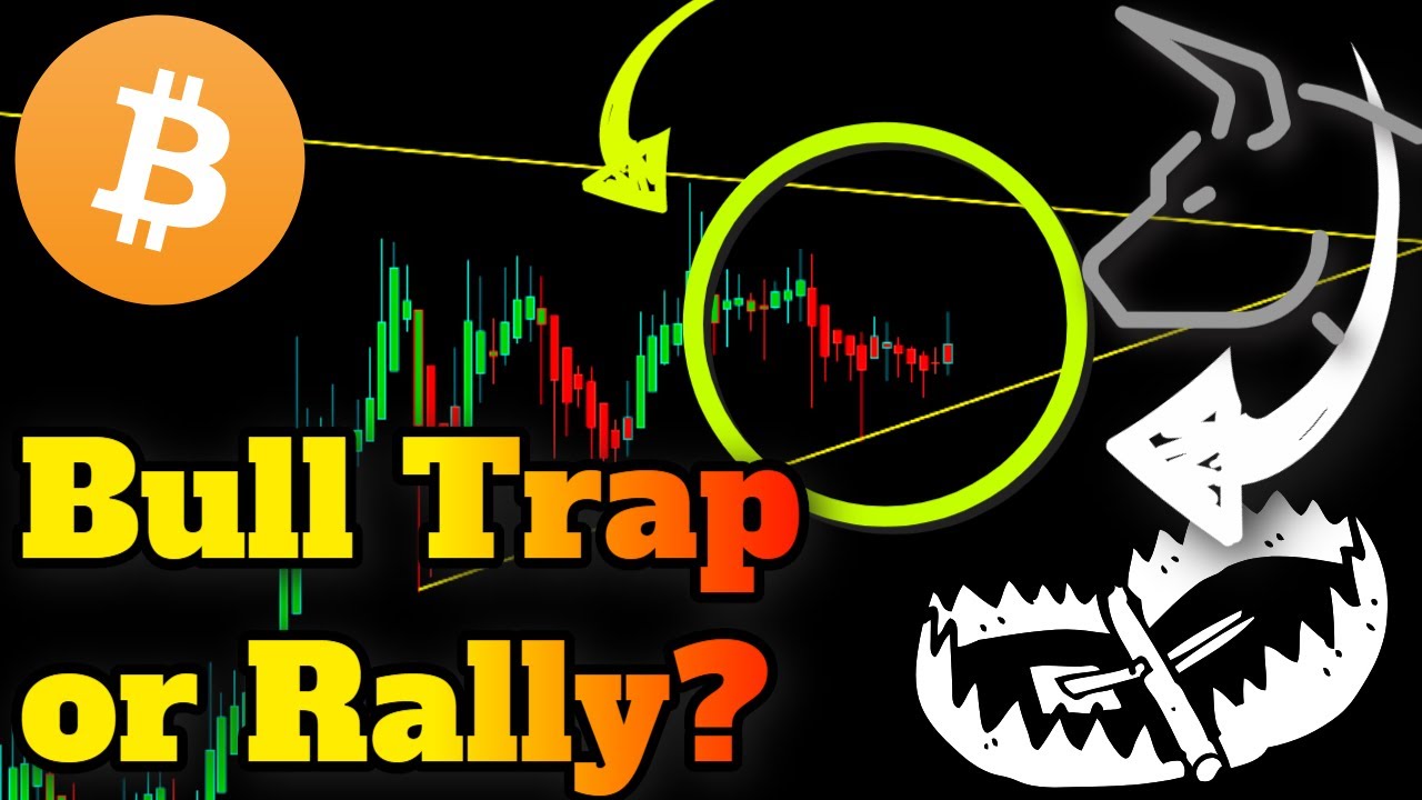 BITCOIN BULL TRAP OR BULL RALLY??? (BTC CHARTS) - YouTube