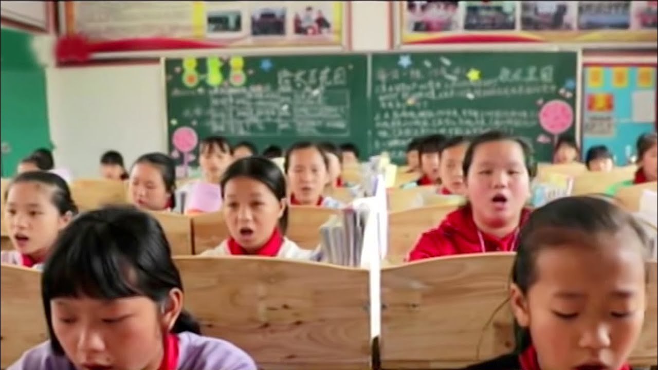 China's Spring Bud project helps 3.69 mln Chinese girls get education ...