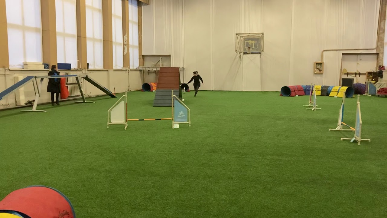 Diva agility 29.10 - YouTube