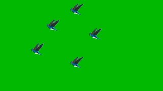 Flying birds green screen. flying birds green screen hd... | Doovi