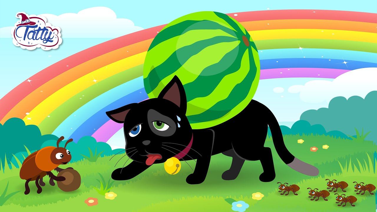 Melancia enormes - gato Misifu | A Bruxinha Tatty - YouTube