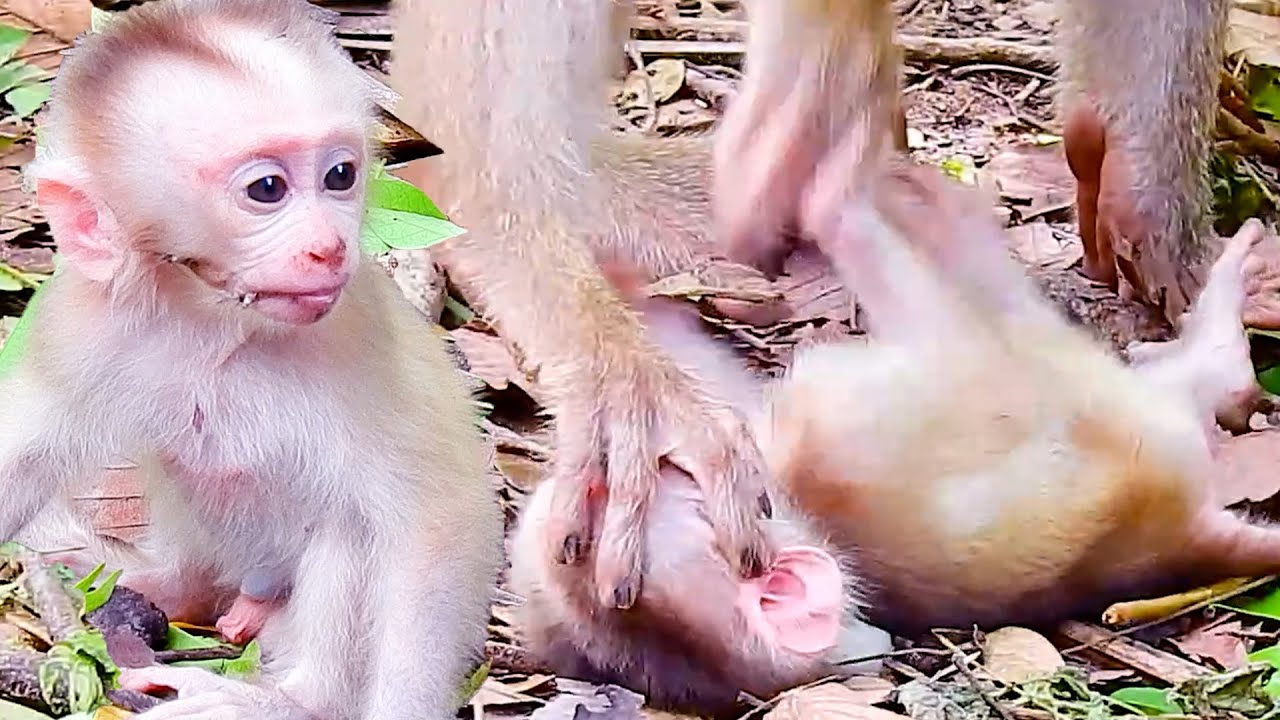 Again and A time bab Leo - YouTube