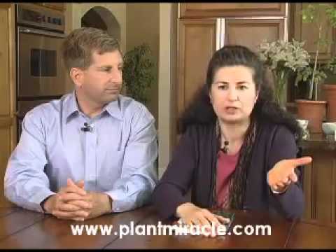 Russ Bianchi & Monica Marcu Moringa Oleifera Part 3 of 3 - YouTube