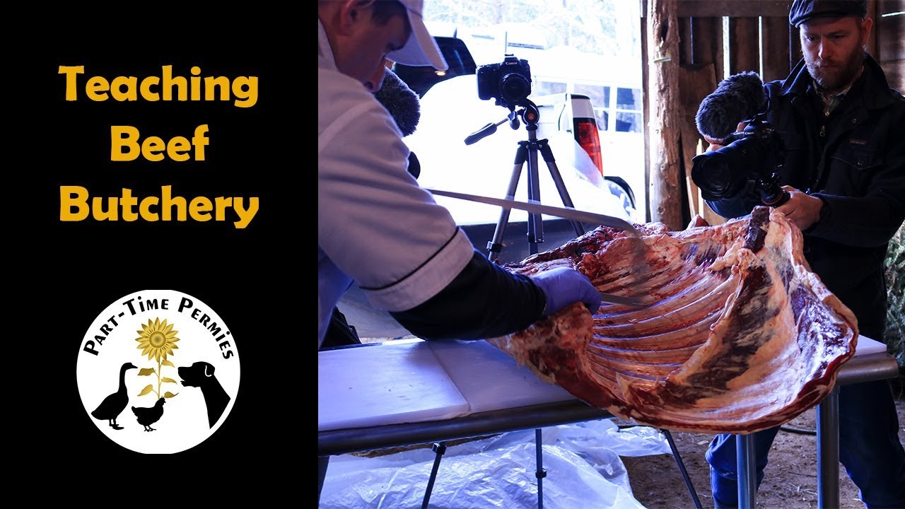 Teaching Beef Butchery and a Special Surprise! - YouTube
