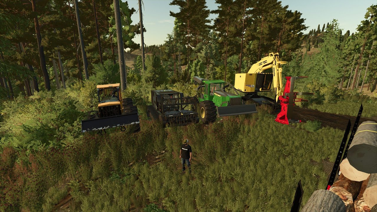 Starting From Scratch Silver Run Forest - YouTube