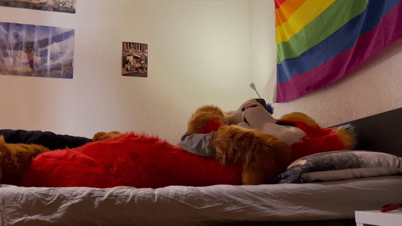 Fursuit cuddles with Foxqy again :3 - YouTube