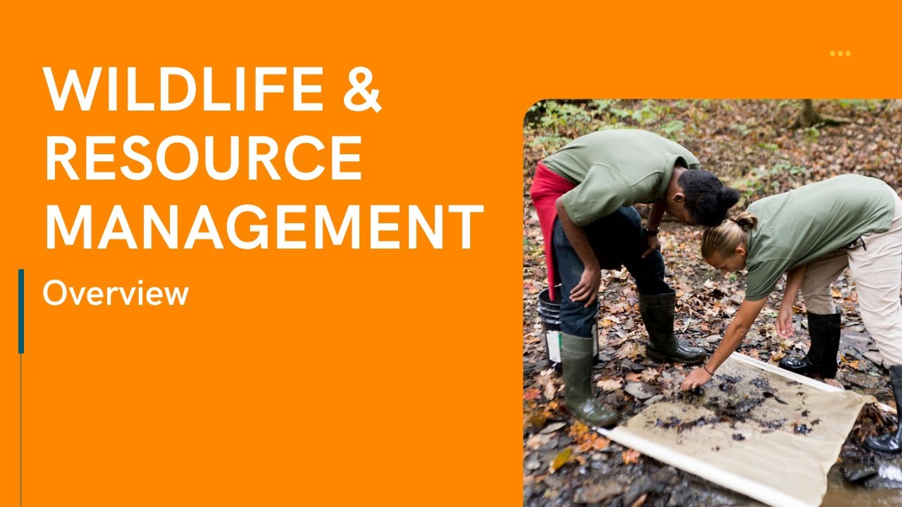 Wildlife & Resource Management Overview Video - YouTube