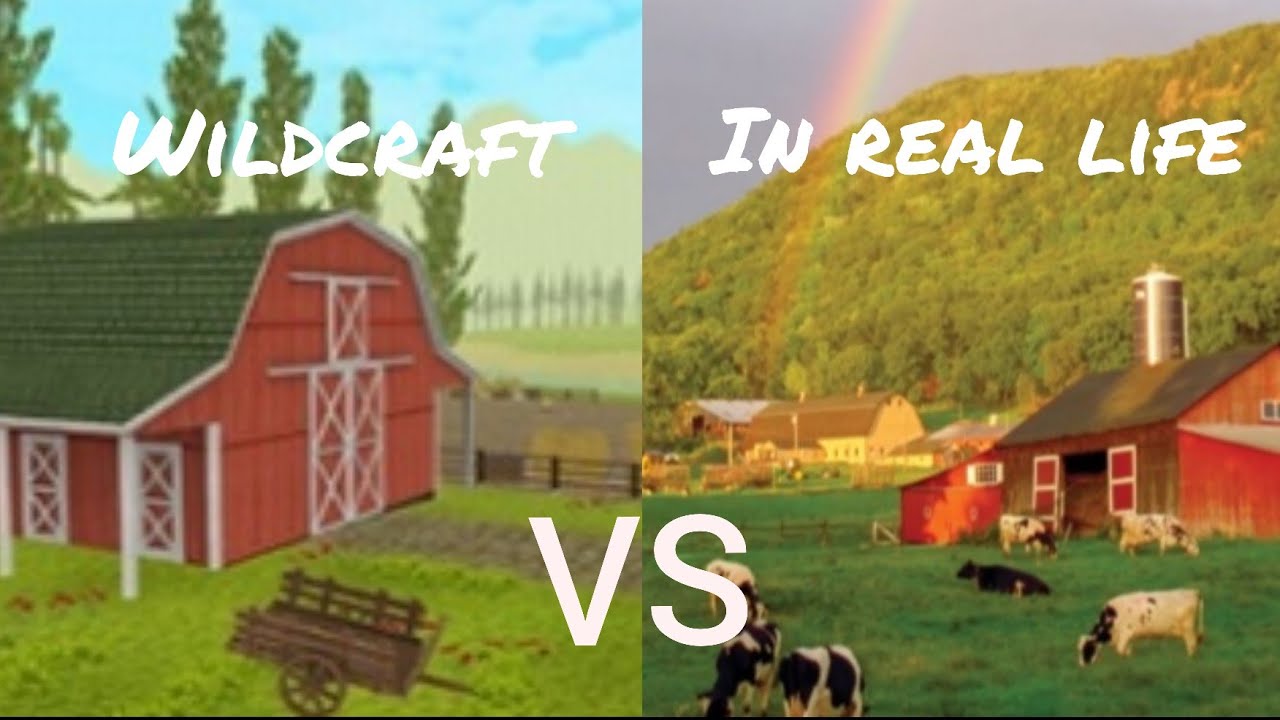 Wildcraft maps in real life - YouTube