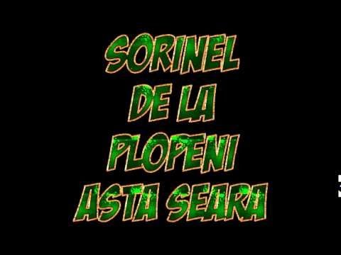 SORINEL DE LA PLOPENI   ASTA SEARA