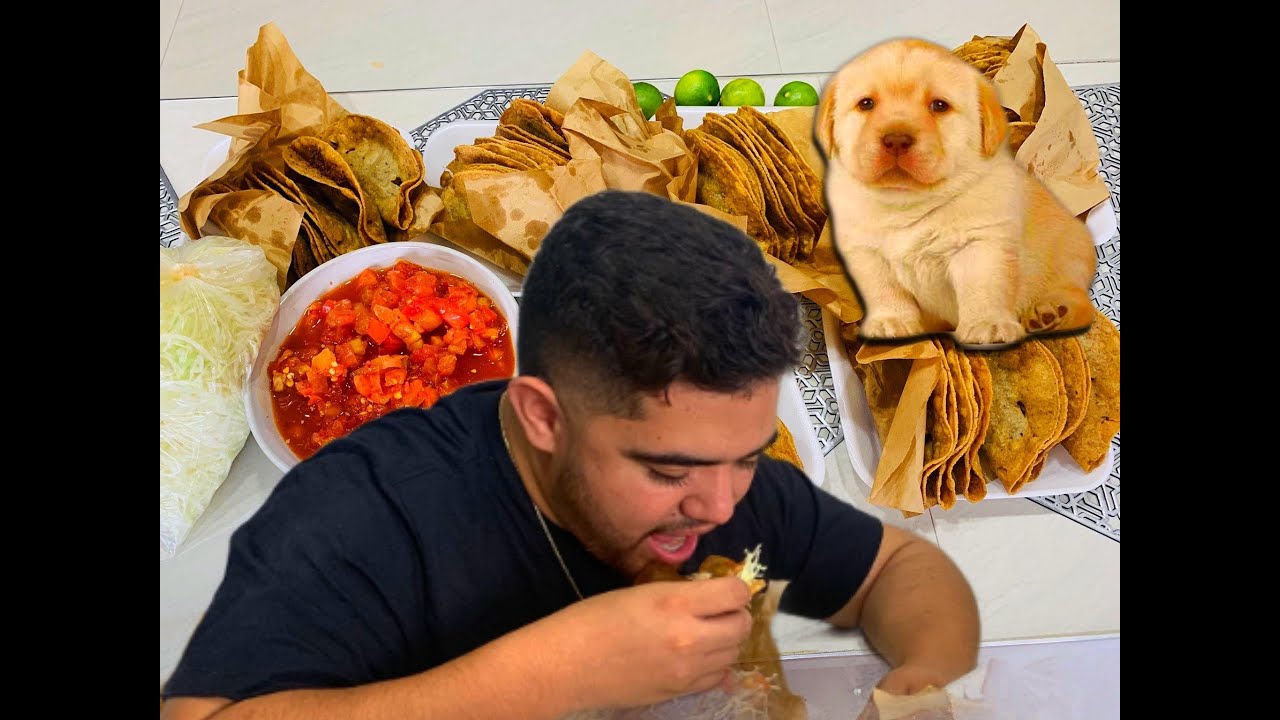 Probando tacos de perro intentando comer todos los que pueda :o - YouTube