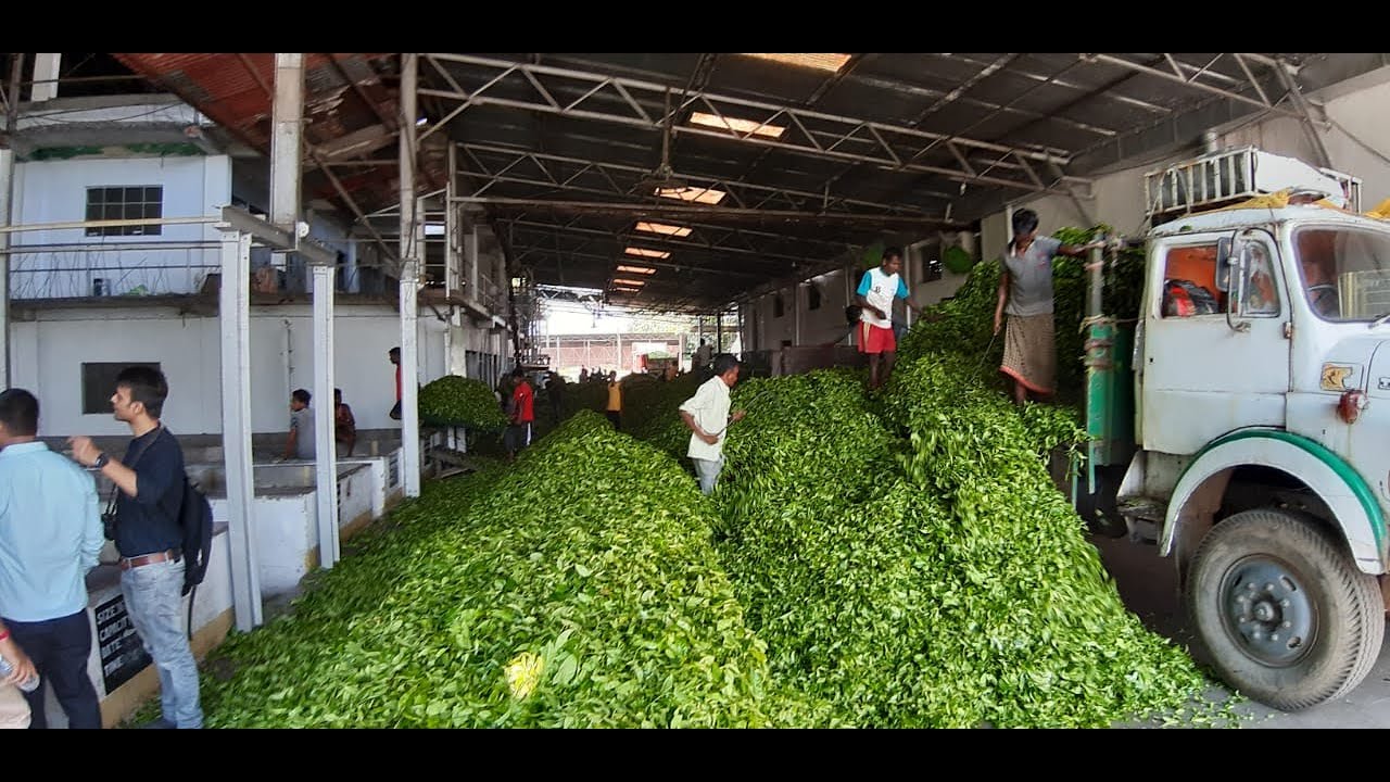 Why CTC called CTC Tea? - YouTube