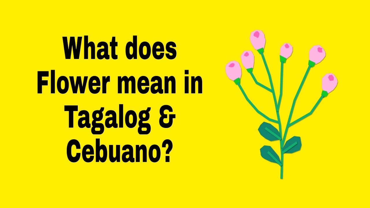 ENGLISH TO FILIPINO: FLOWER I TAGALOG+CEBUANO TRANSLATION - YouTube