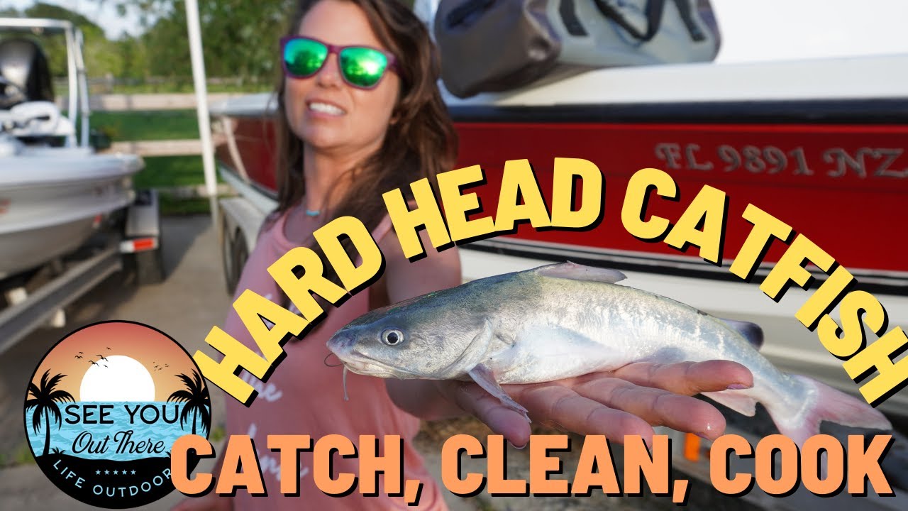Hard Head Catfish {Catch, Clean and Cook} - YouTube