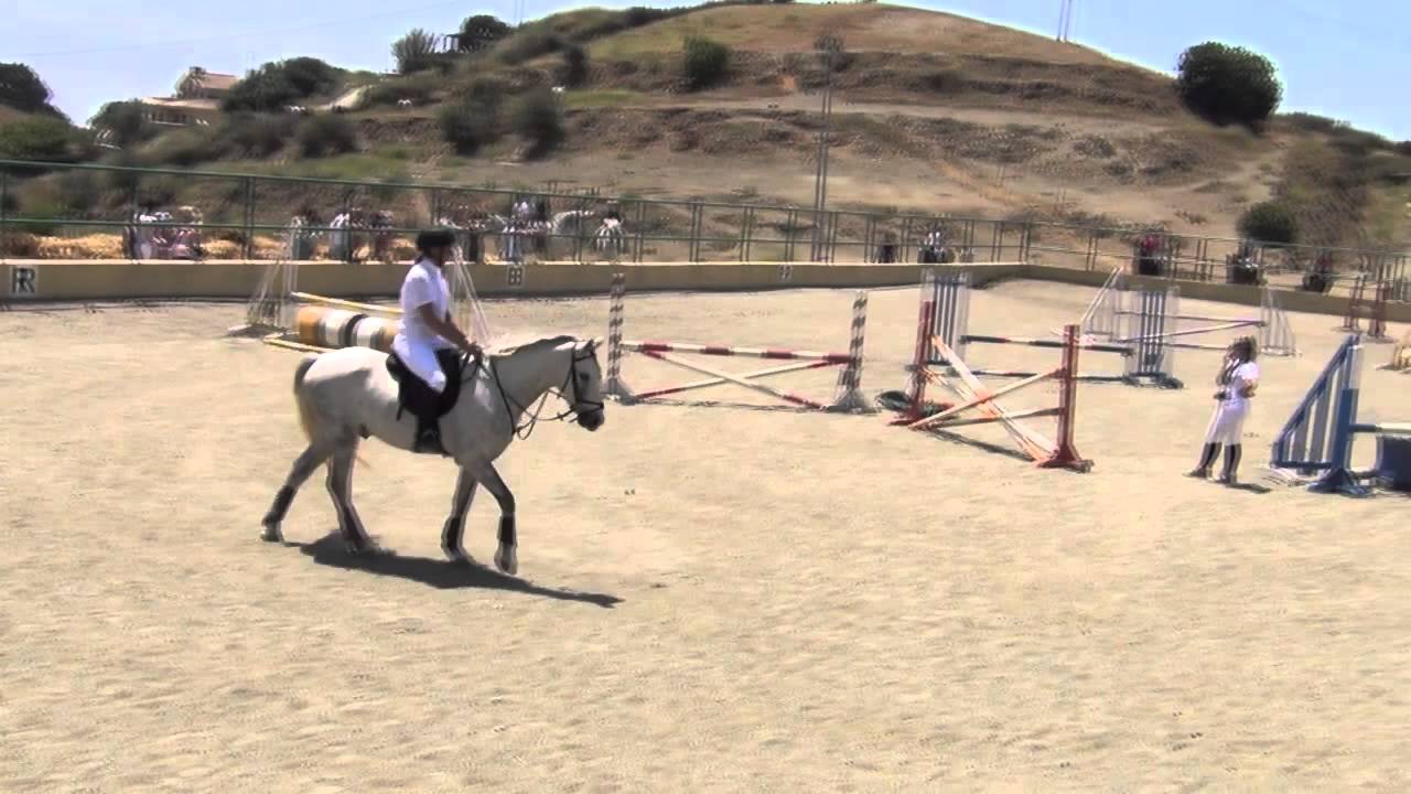 Jumping Competition - 60cm & 80cm classes - It didnt go easy! - YouTube