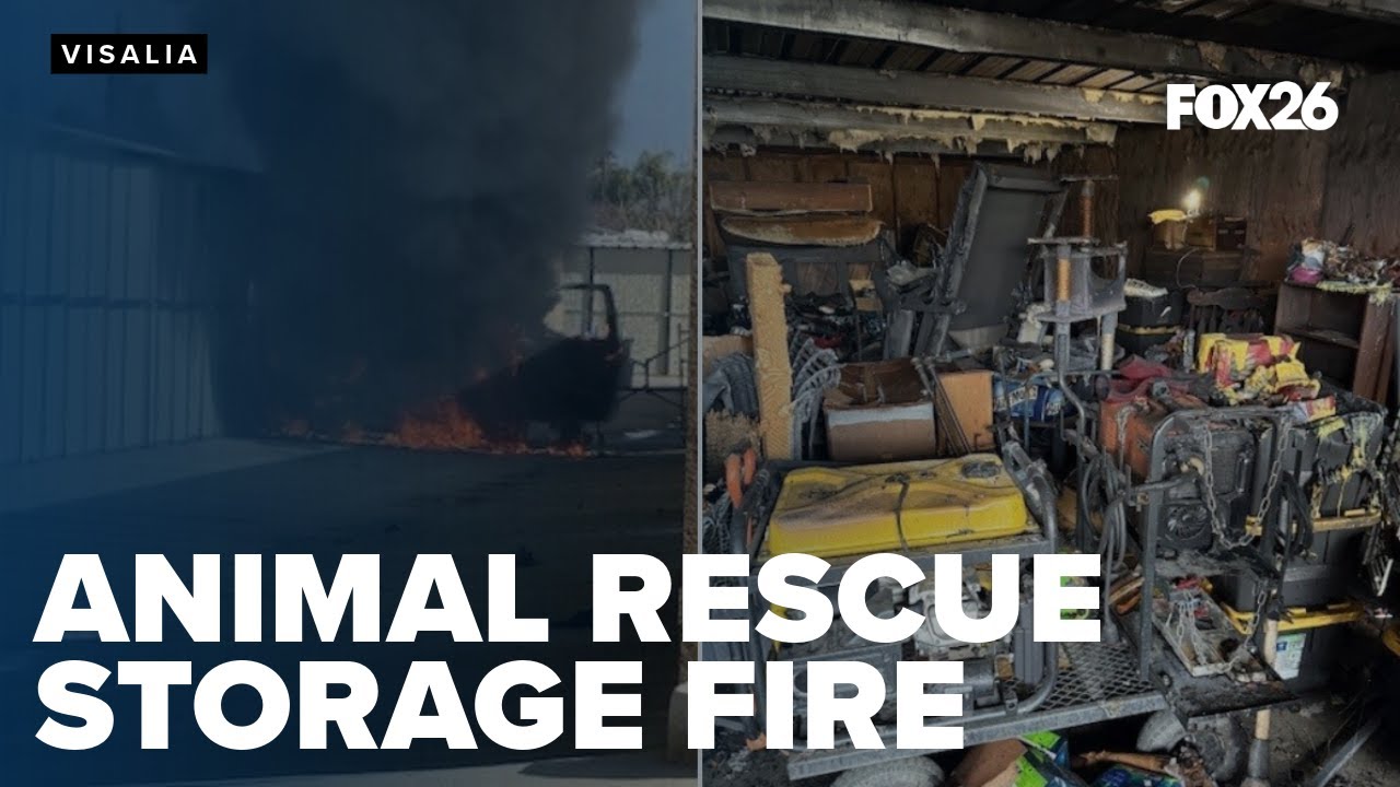Visalia animal rescue struggles to recover after devastating fire - YouTube