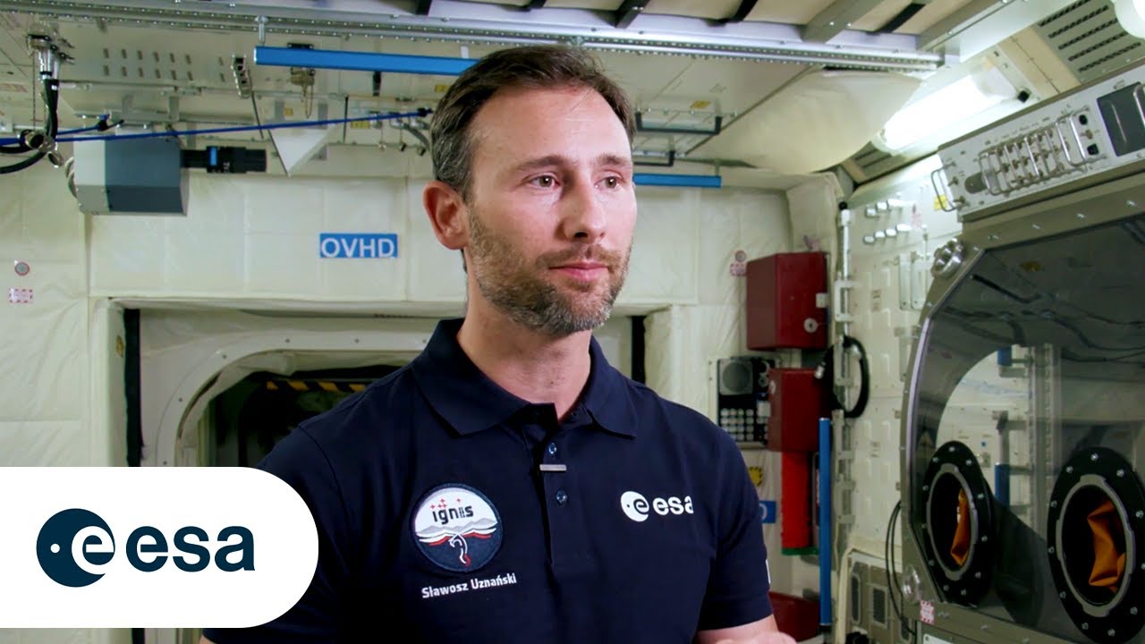 Ignis mission name and patch explained - YouTube