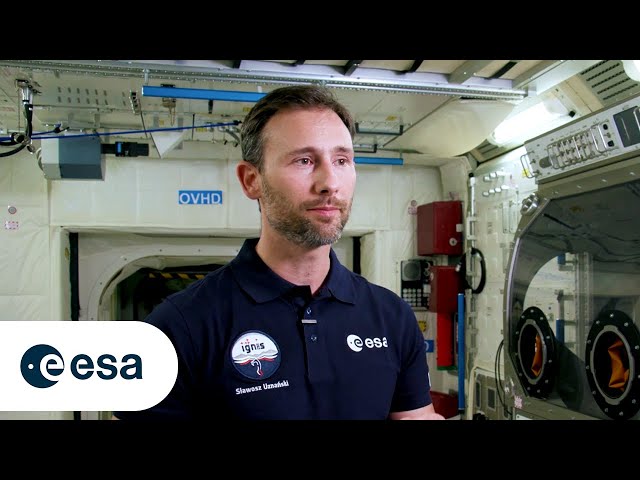 Ignis mission name and patch explained