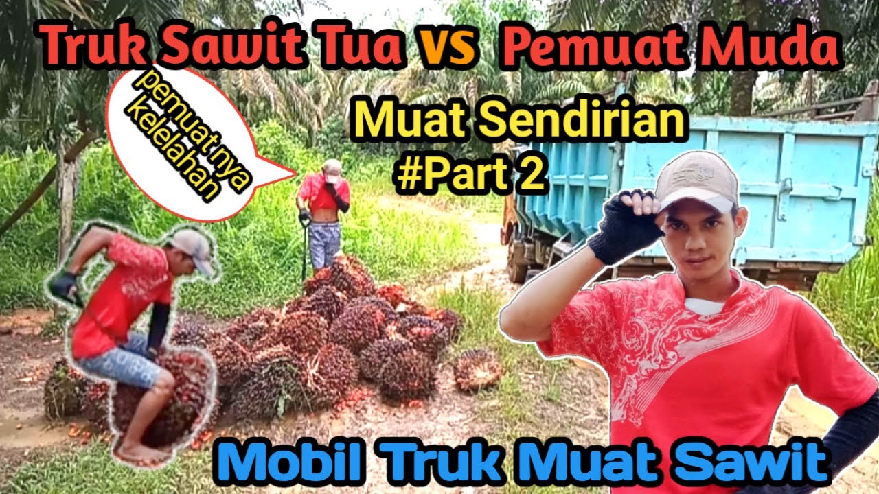 Mobil truk muat sawit, Muat sawit buah besar Sendirian #part 2 - Sawit ...