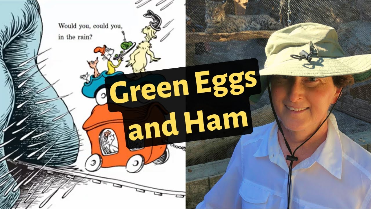 Storytime with Sam: Green Eggs and Ham - YouTube