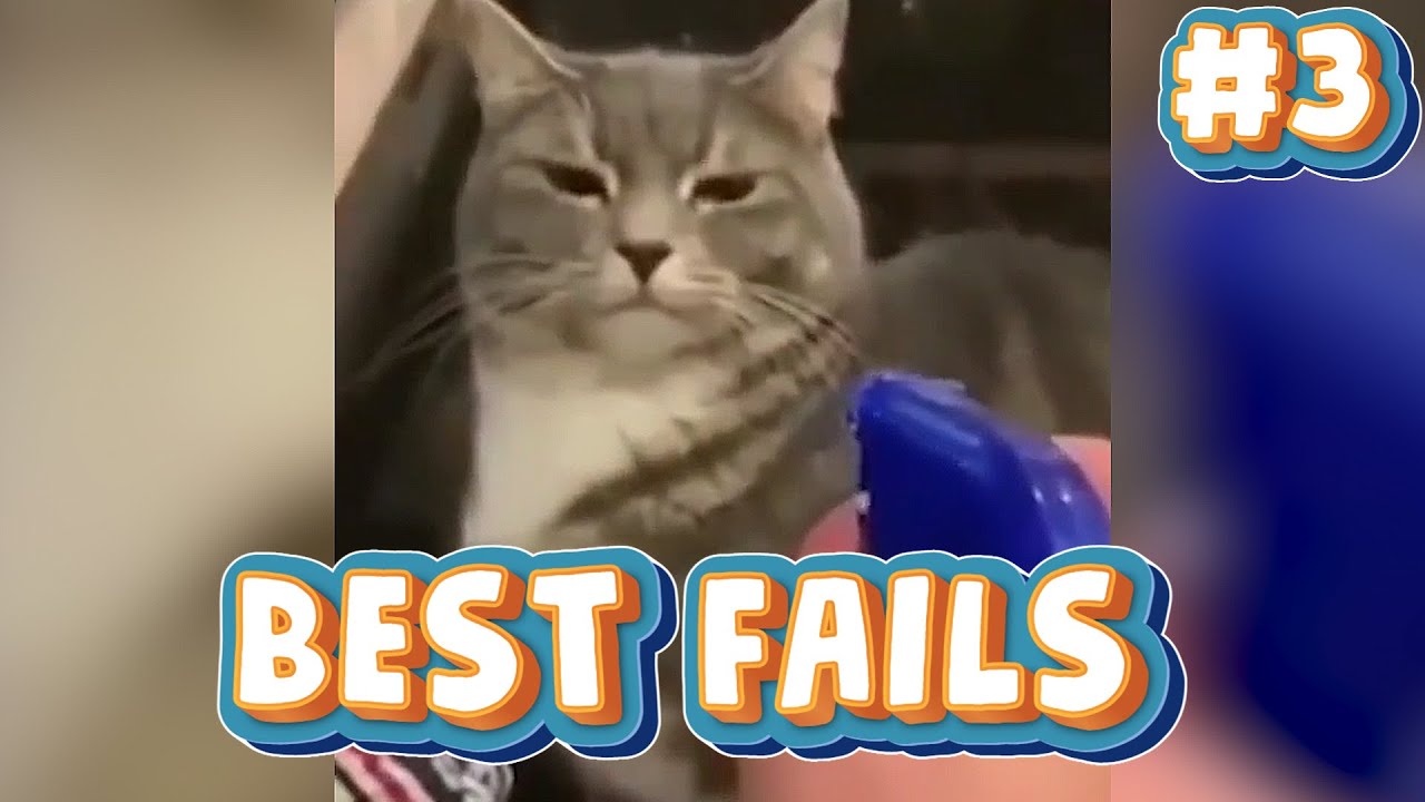 BEST FAILS FROM TIK TOK COMPILATION 2022 😂😂😂 - YouTube