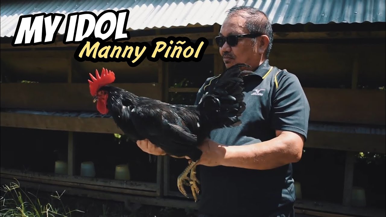 Manny Piñol Promoting Backyard Chicken Farming - Manok Pinoy | Alagang ...