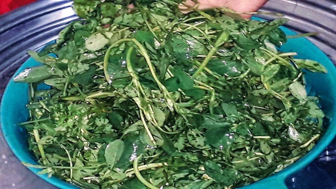 মেথী শাক কিভাবে খাবেন| Methi Shak Recipe|Bengali Shak Recipe|Village ...