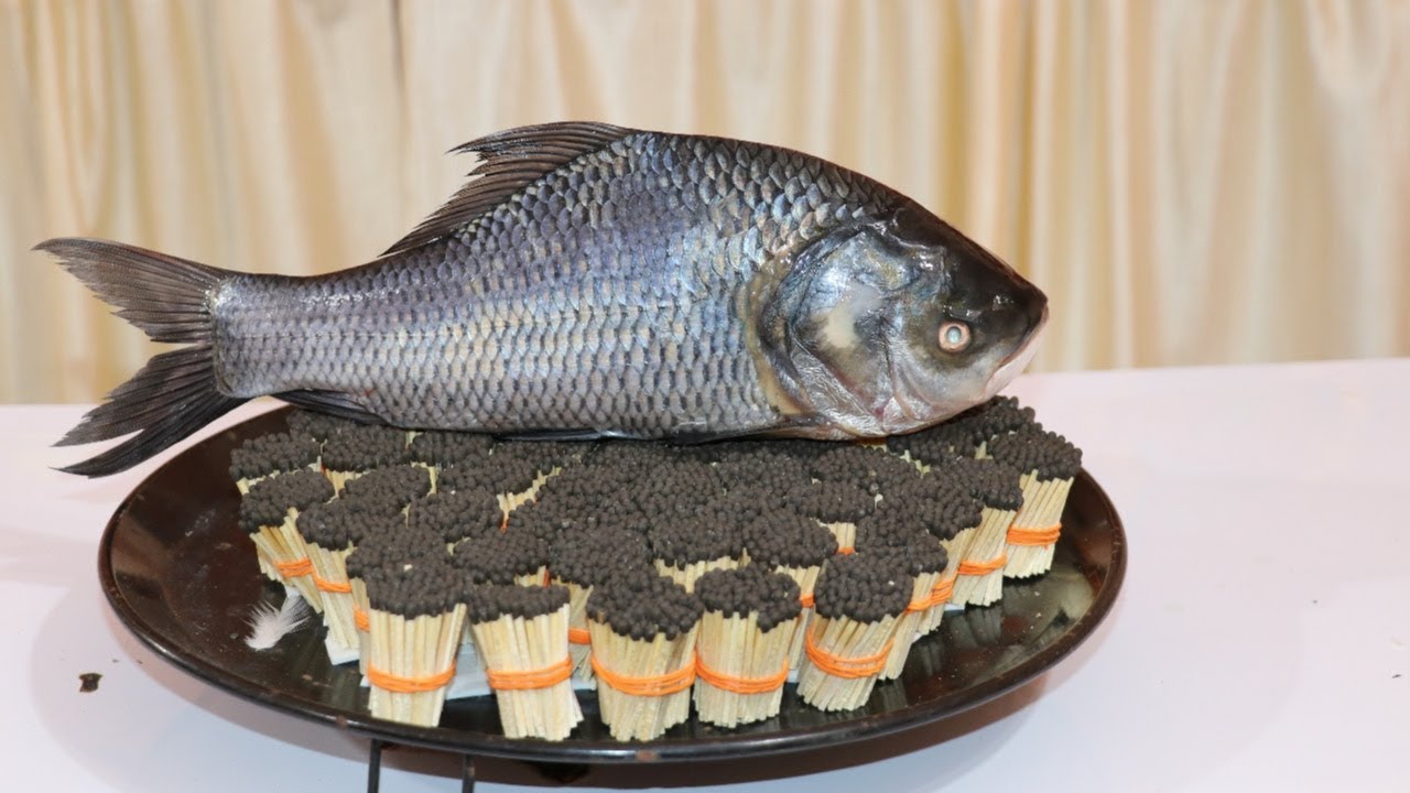 Fish vs matchsticks, How to Roast Fish,matchsticks,match experiment ...