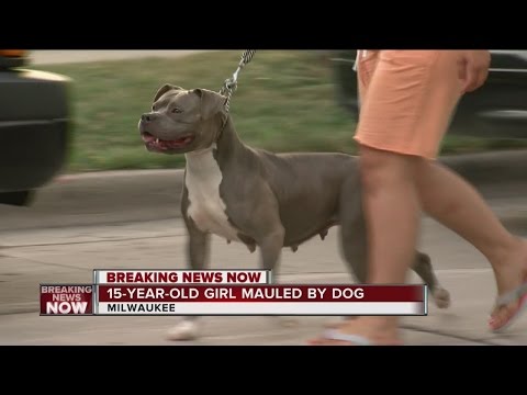 14-year-old girl attacked by dog in Milwaukee