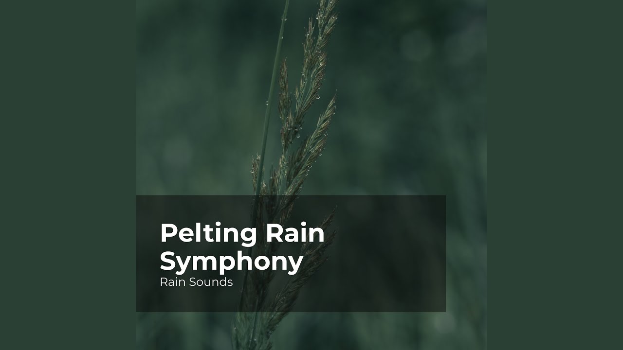 All Night Long Rain - YouTube