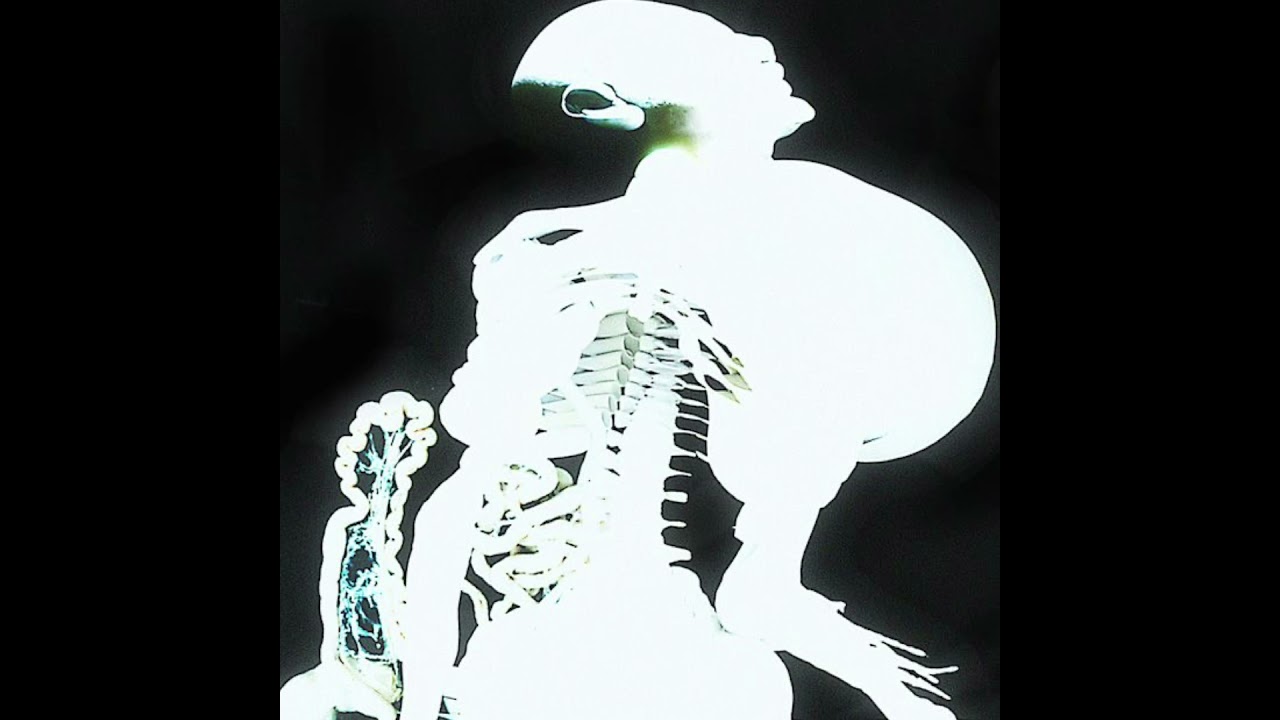 Sin Rumbo - Arca - YouTube