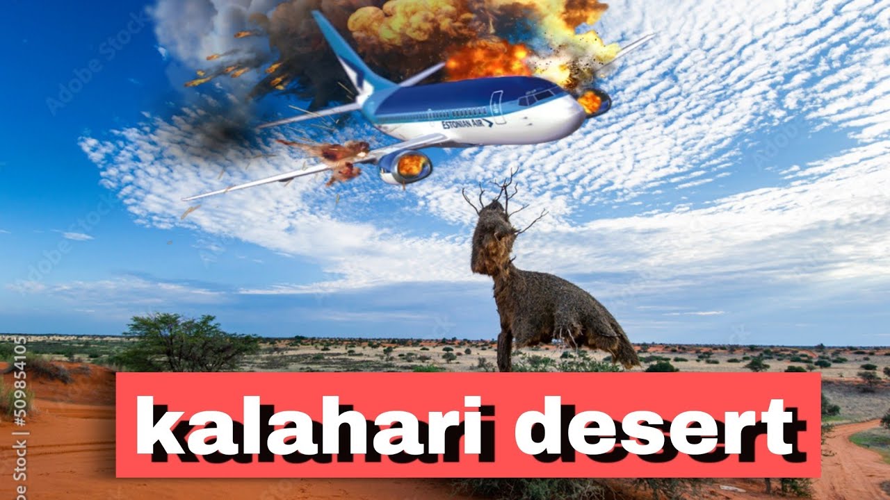 Plane Crash In The Kalahari Desert 🏜 | History Hindi - YouTube