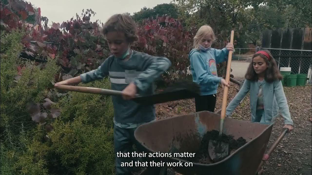 Environmental Education for Grades 6, 7 & 8 - YouTube