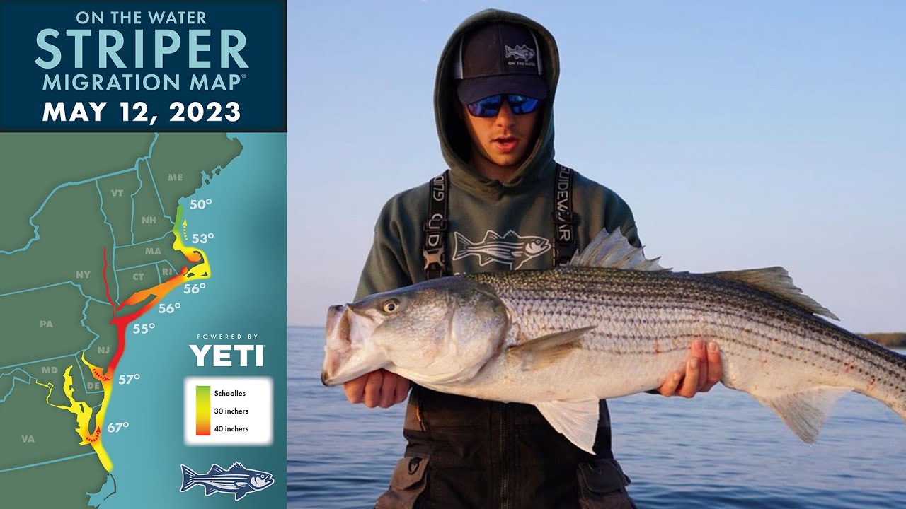 Striper Migration Report | May 12, 2023 - YouTube