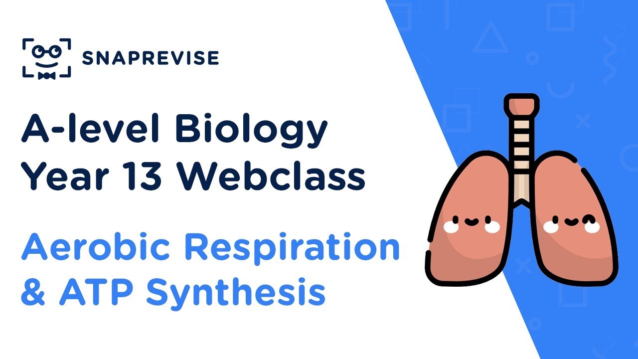 A-level Biology Year 13 Webclass: Aerobic Respiration and ATP Synthesis ...