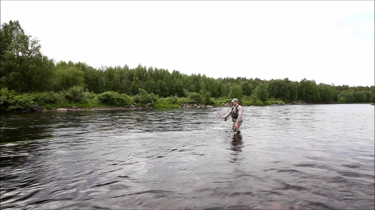 PePe Flyfishing videos: Salmon Fishing Course Byske River 2016 - YouTube