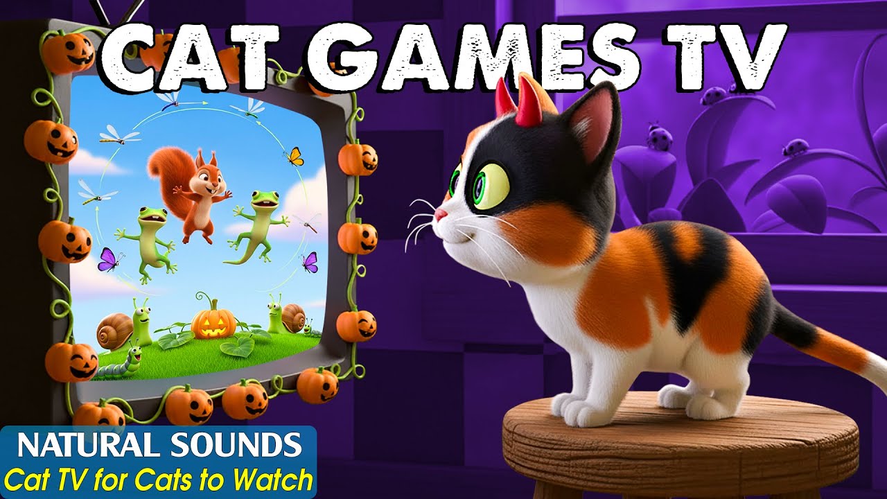 Interactive CAT TV－Cat Games That Keep Your Cat Engaged All Day 😸 ...