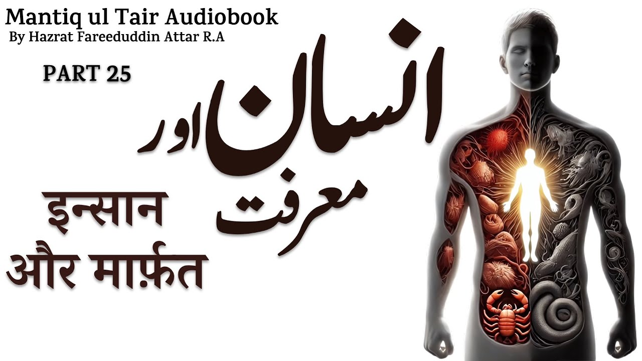 Insan Aur Marfat | Mantiq ul Tair | Conference of Birds | Hazrat ...