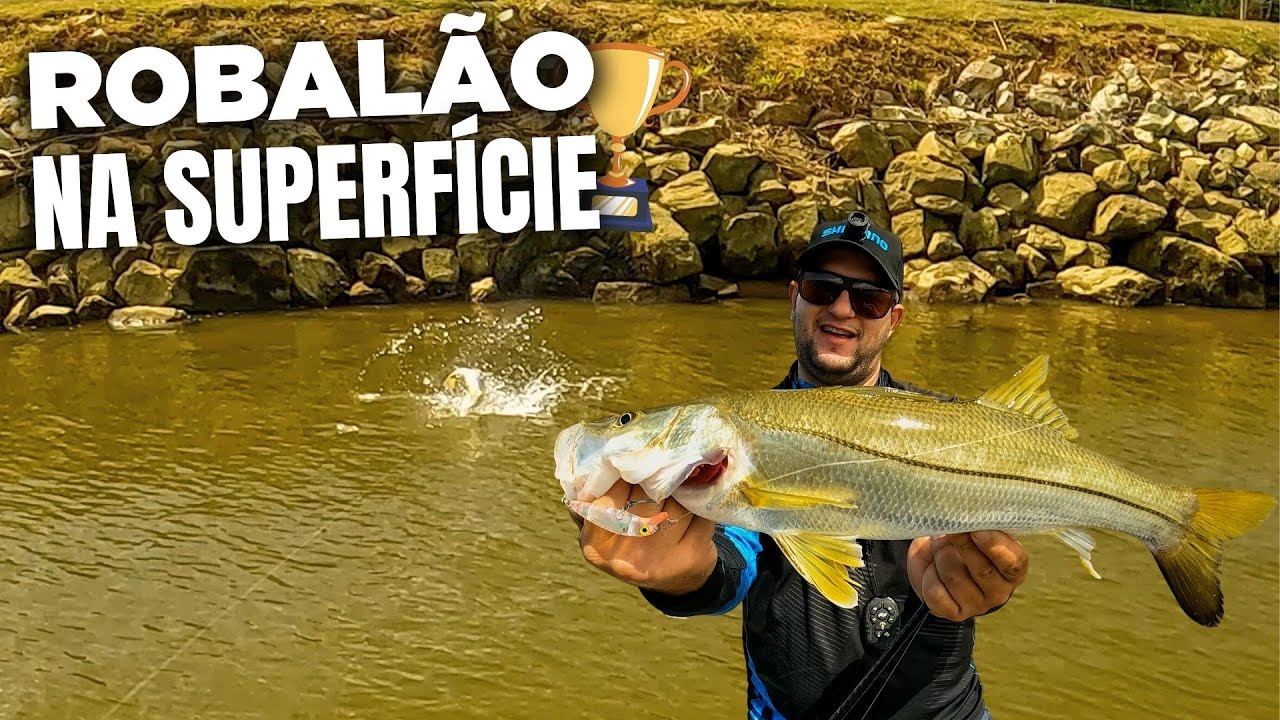 Robalo Flecha GRANDE na SUPERFÍCIE com PLUGS! Pescaria no Rio Itapocu - YouTube