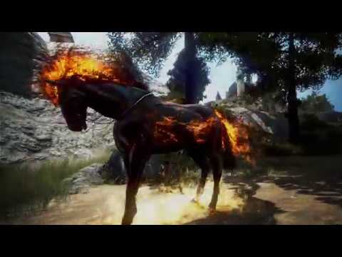 Black Desert - T9 Doom Horse -TEST (PvE) - Prueba Caballo Tier 9 - YouTube