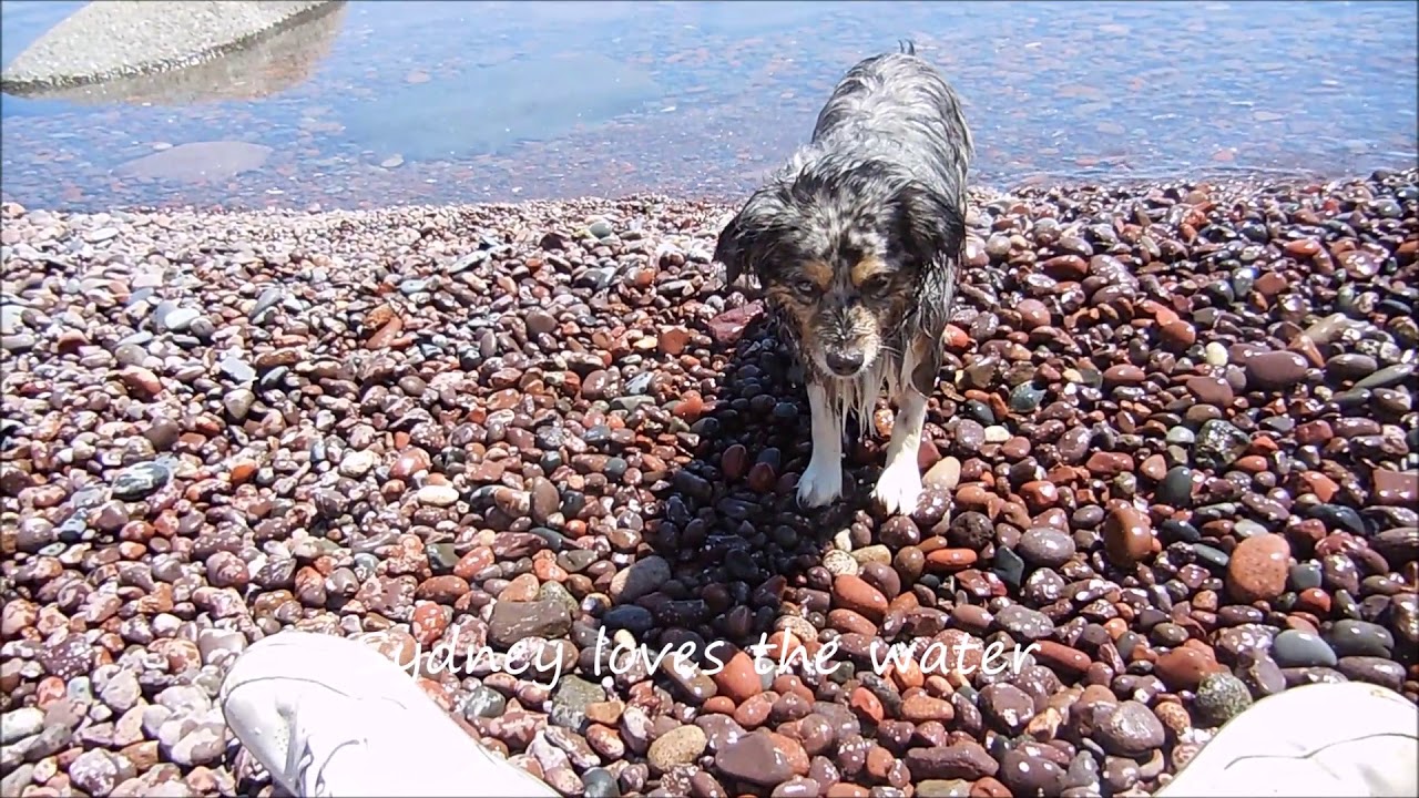 Camping trip to the North Shore 7 12 2019 - YouTube