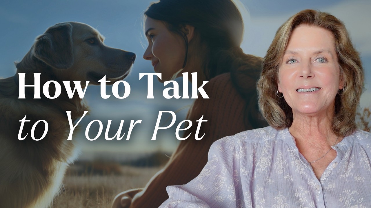 Communicate NOW With Your Pets: Heart Telepathy Tips (Intuitive ...