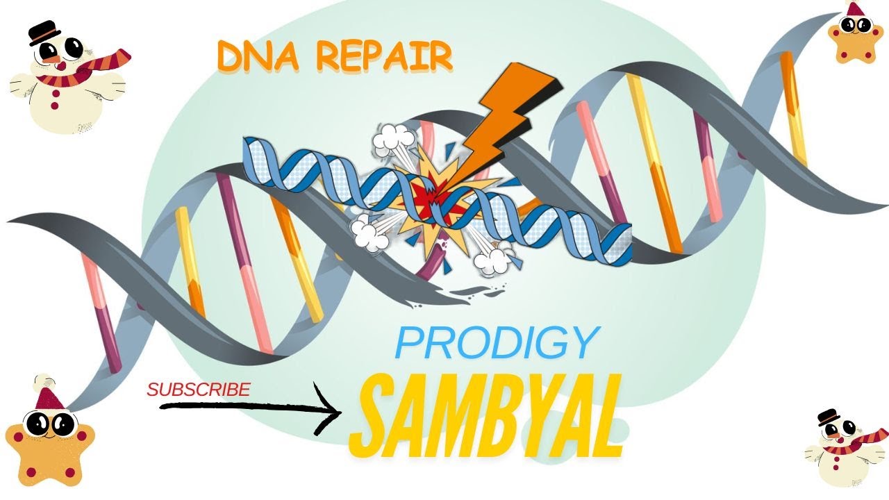 DNA Repair and Its Mechanisms || Sambyal Prodigy Class || Live Stream #dna #education #molecules ...