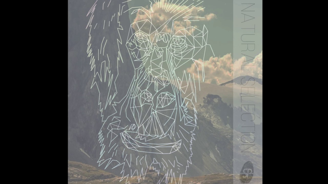 Primate - Natural Selection - YouTube Music