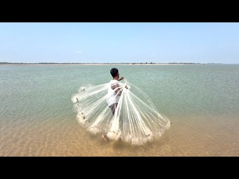Best net fishing - Traditional net fishing in village river - Fishing by cast net