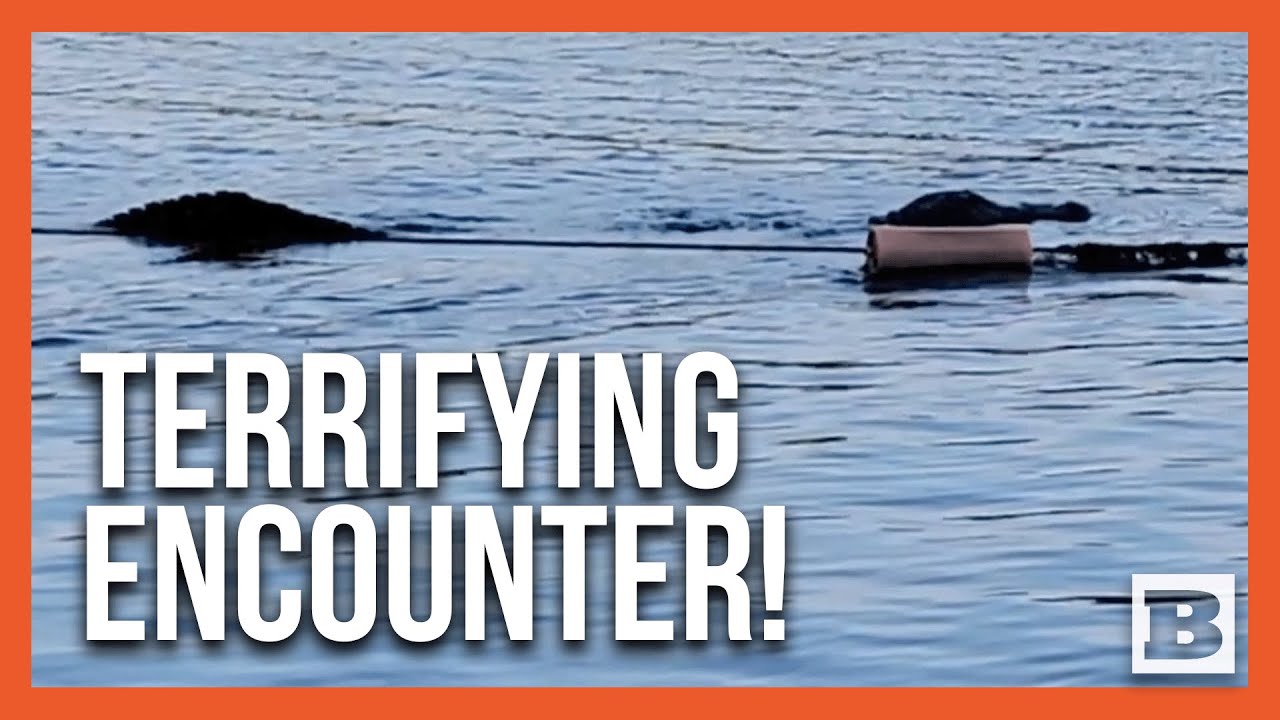 Swimming Children SCREAM as Alligator Get Dangerously Close - YouTube