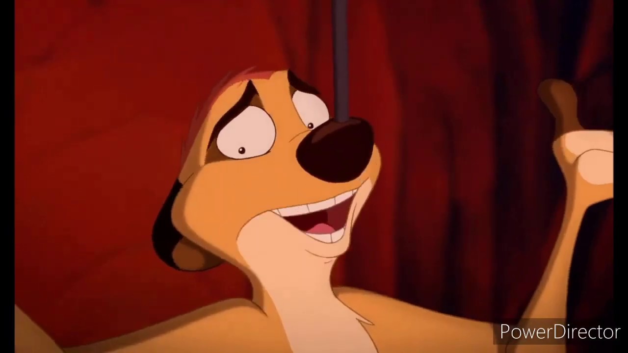 Timon and Pumbaa's Distraction Song (My Version) - YouTube
