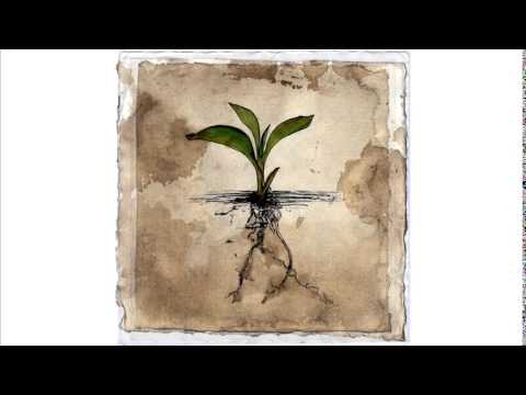 Tycho - by Fear Before - YouTube