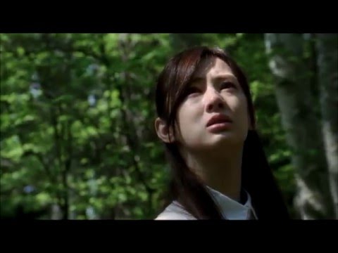 Serenade of the memory