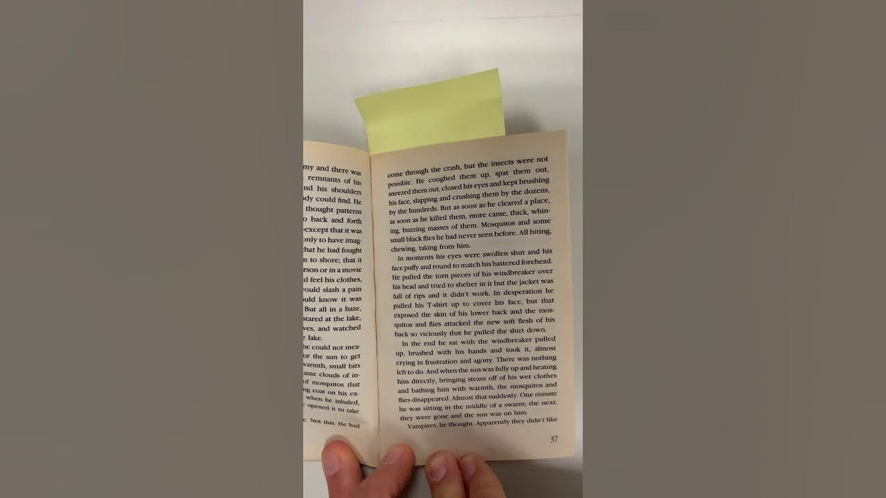 Hatchet Chapter 4 - YouTube