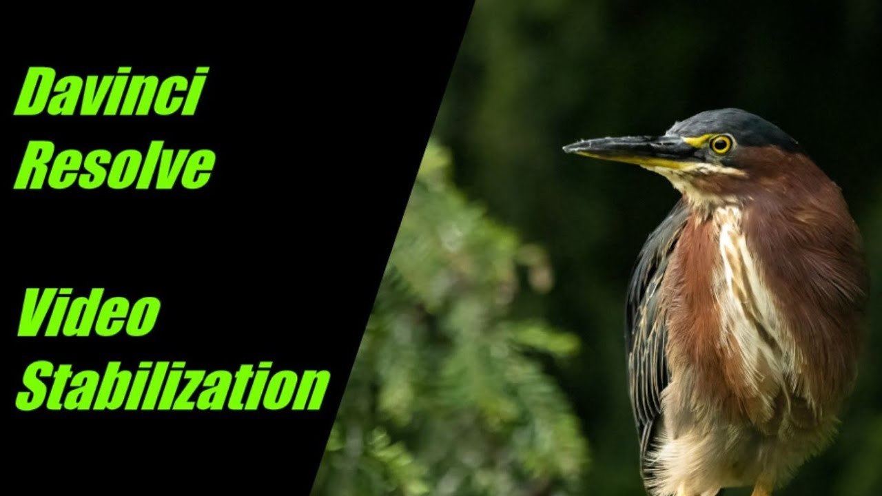 Master Davinci Resolve - Tips for Adding Video Stabilization - YouTube